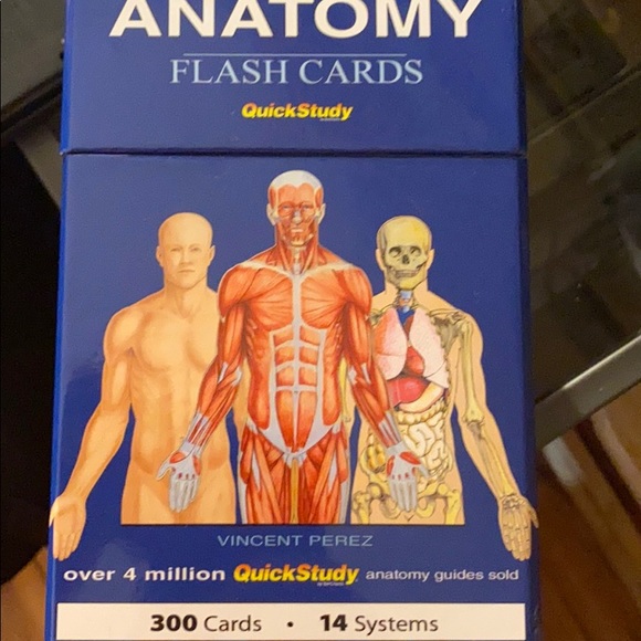 quickstudy | Other | Other Anatomy Flash Cards For Quick Study | Poshmark
